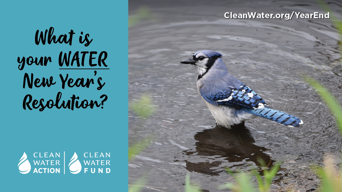 Clean Water Fund Homepage | Clean Water Fund